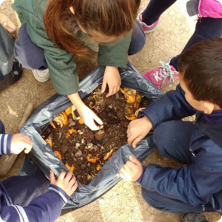 Chicos Naturalistas | Educación